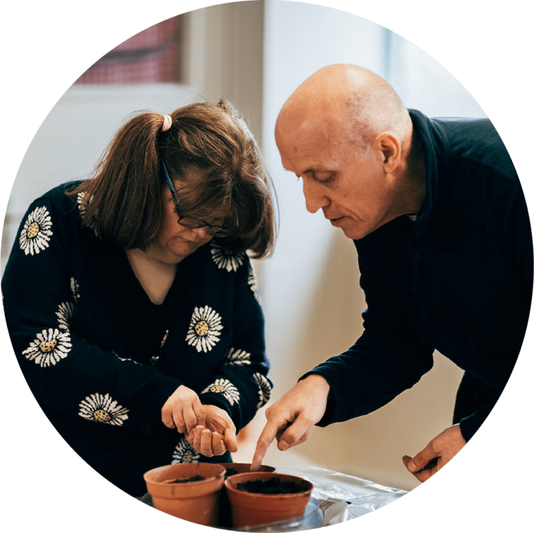 Role Profile CSO - Consensus