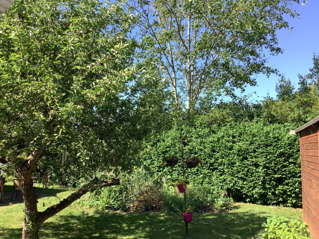 Polwell Lane - Consensus