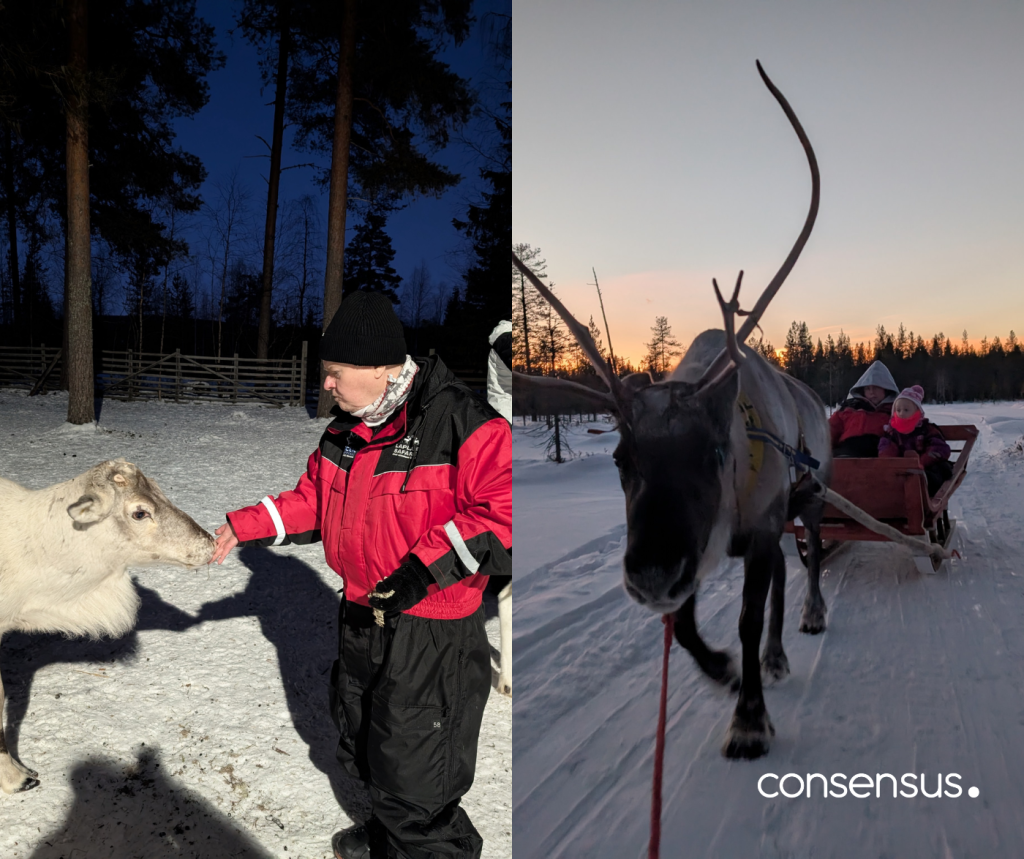 An unforgettable experience; Perrywood in Lapland - Consensus