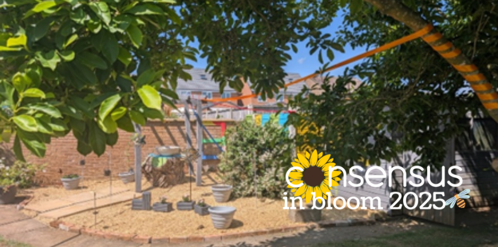 Our Services - Consensus